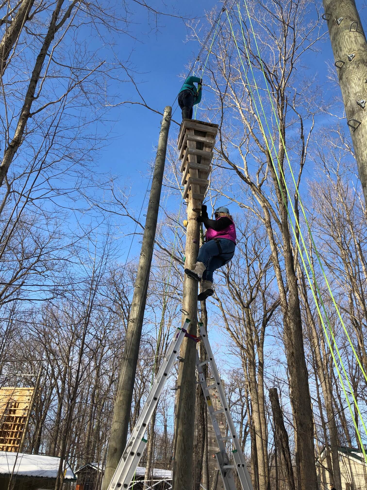 Careers - Darling Insurance